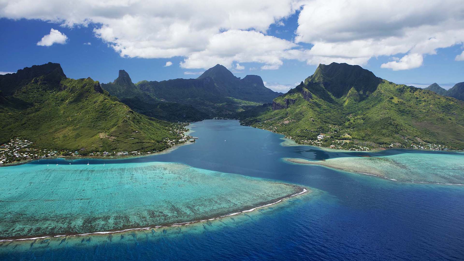 Tahitian Coral Reefs become home to British retailers – THE GRUFF STUFF